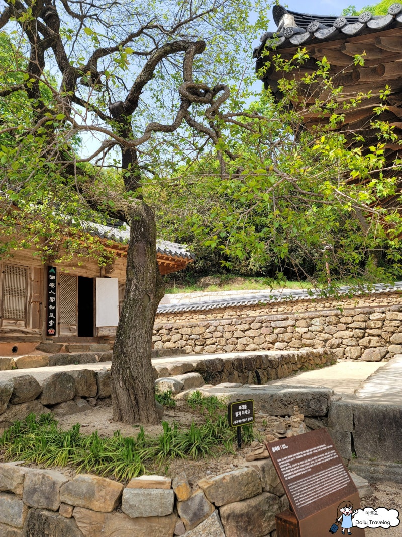 구례 가볼만한곳 화엄사 입장료 주차 총정리 네이버 블로그