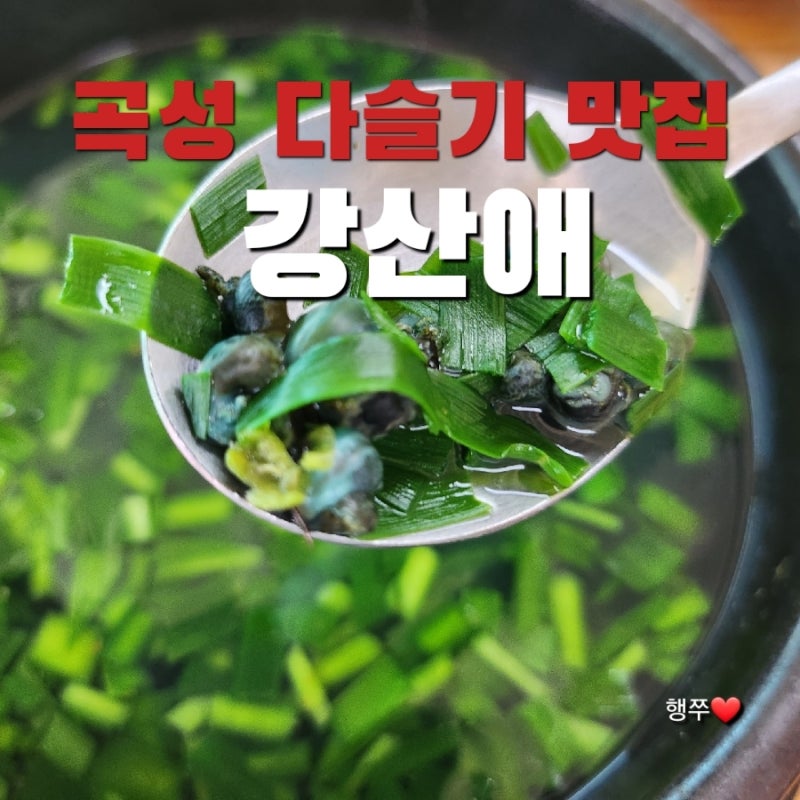 전남 곡성 맛집 곡성기차마을 전통시장 강산애 다슬기탕으로 몸보신수제비와 다슬기부추전도 추천 네이버 블로그