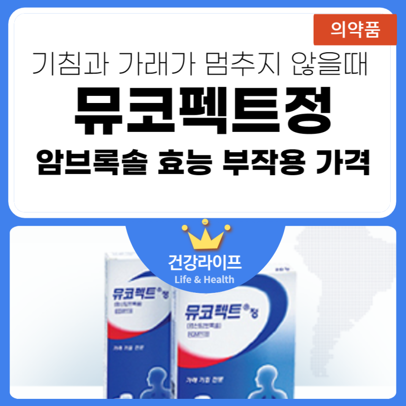 뮤코펙트정 암브록솔 진해거담제 효능과 부작용 가격 네이버 블로그