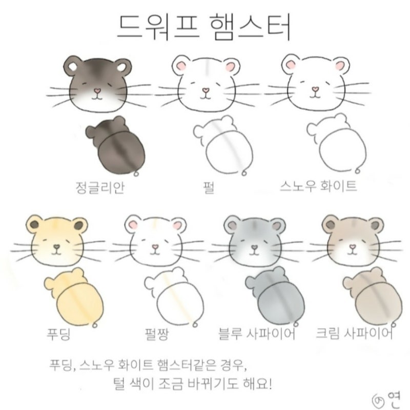 햄스터 기본서 종류 수명 평균 몸무게 성격 등 네이버 블로그