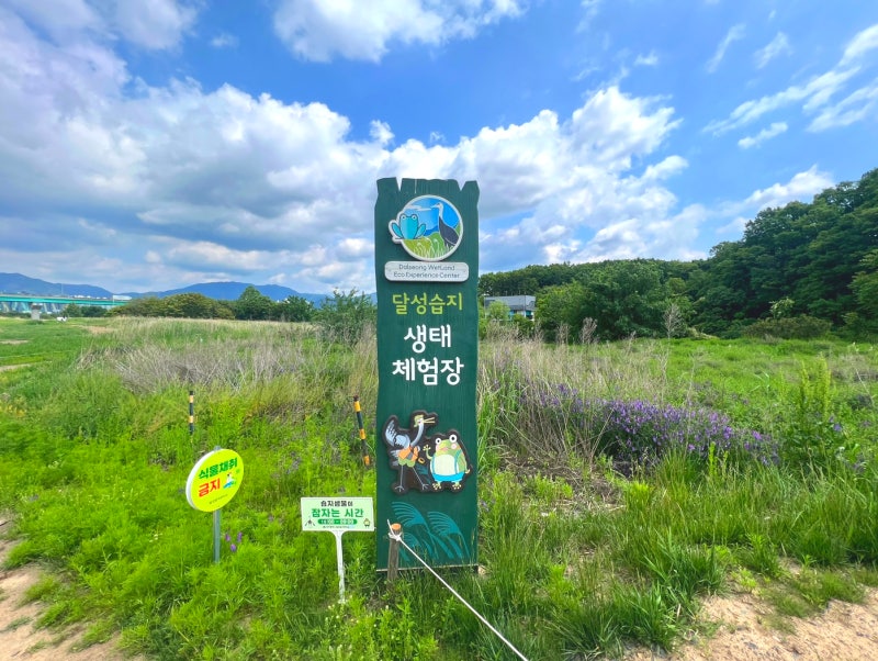 달성습지 생태학습관 6월 체험프로그램 버드나무 솜길따라 예약 후기 네이버 블로그
