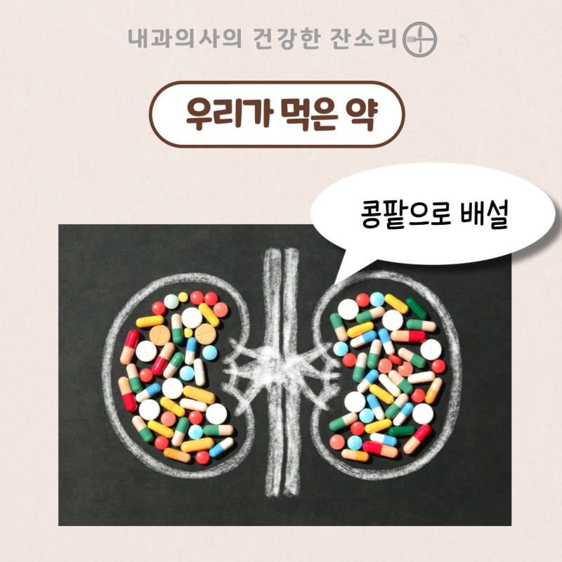 신장 기능 나쁘면 주의해야 할 약 만성 신부전 혈액투석 환자의 약물 처방 네이버 블로그