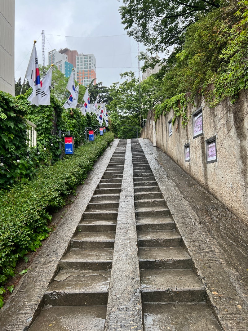 대구갈만한곳 대구 근대골목투어 청라언덕 계산성당 제일교회 선교사주택 네이버 블로그
