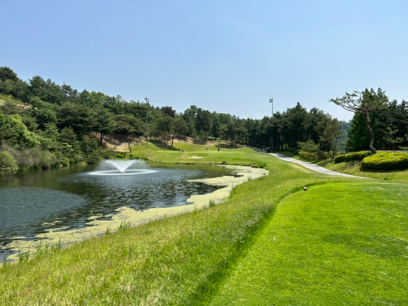 센추리21cc 생활체육지도자 생활스포츠지도사 시험장 골프라운딩 후기 : 네이버 블로그