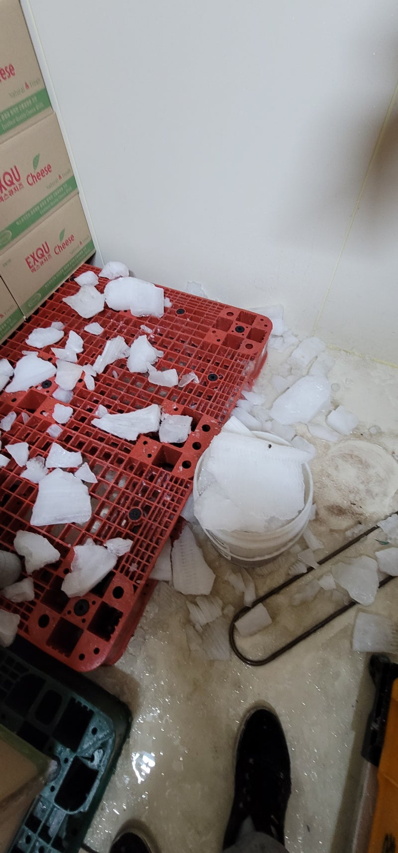 인천 남동공단 냉동창고 저온저장고 수리사례, "누전차단기 작동합니다" SUN ELECTRONICS SP-305TCFM ...