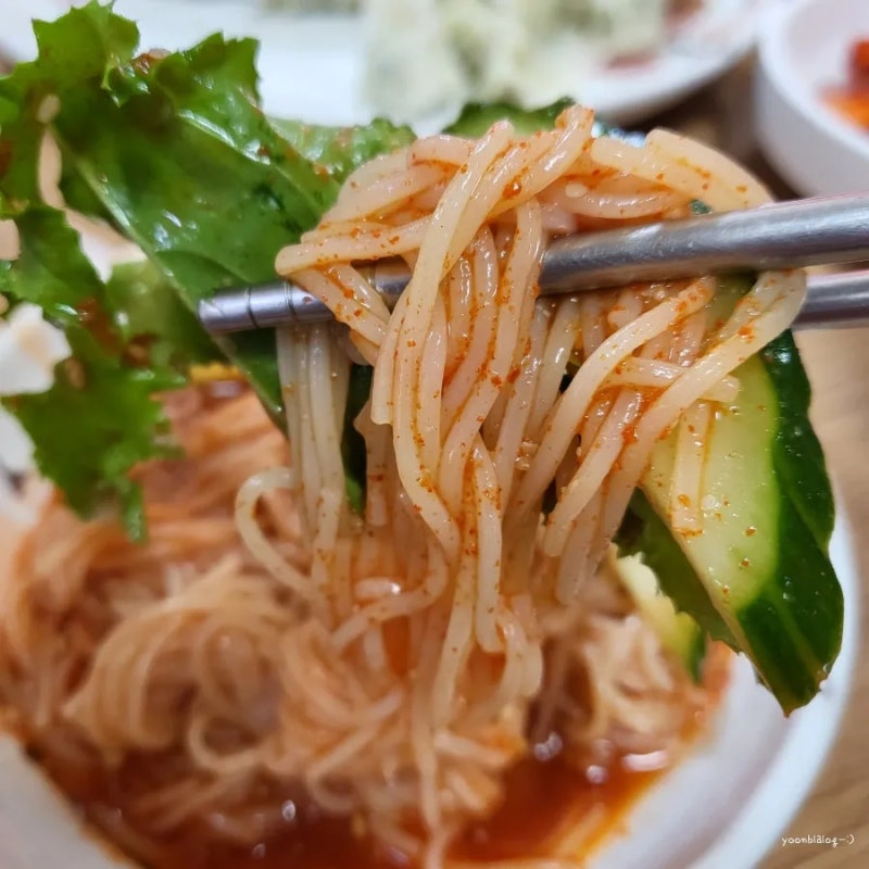 부산 스포원파크 맛집 손영환 비빔국수칼국수 네이버 블로그