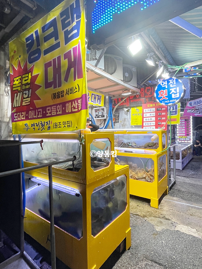 순천대게 맛있는 역전횟집 아나고회 네이버 블로그