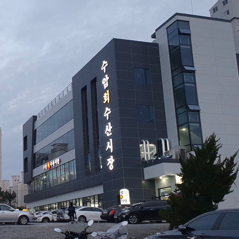 울산맛집 울산 수암시장 회센터 초장집 강원수산통영수산수로횟집새청년초장대추나무 이용꿀팁 내돈내산 솔직후기 네이버 블로그