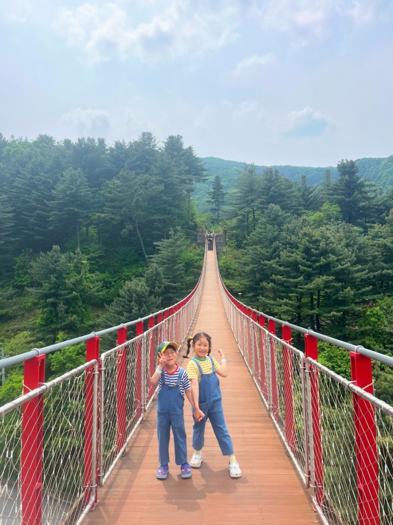 경기도 포천 어메이징파크💚 포천과학테마파크🔬어메이징스윙물그네히든브릿지솔트가든카페🤎 포천 치유의 숲은 힐링 그 잡채