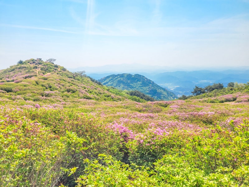합천 황매산 등산코스 시간 난이도 최단코스 주차장 네이버 블로그