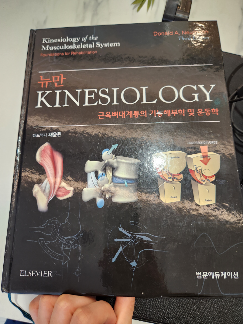 뉴만 키네시올로지 팔꿈치와 아래팔 골학 Neumann Kinesiology Elbow And Forearm Osteology