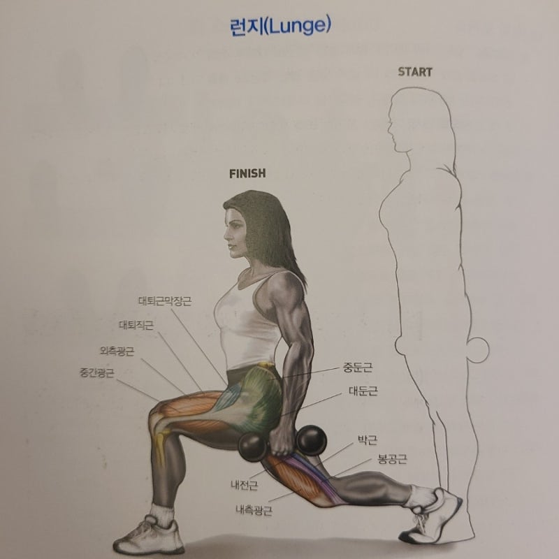 신갈역pt 운동에반하다 기흥점 런지 쉽게 따라하기 네이버 블로그