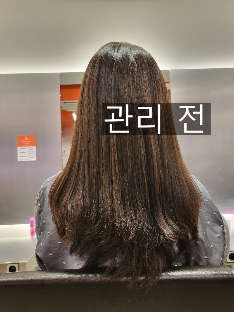 대구 미용실 모발클리닉 잘하는 이경민라포헤어 동성로점 네이버 블로그