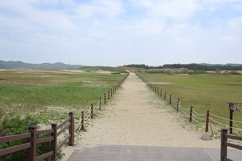 충남 태안 독채 펜션 안면도 근교 태안 숙소 가족 펜션 추천 네이버 블로그