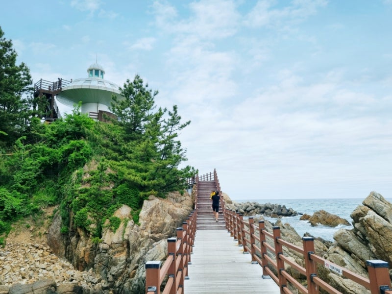 하조대 둘레길과 전망대 아이와 산책하기 좋은 곳 네이버 블로그