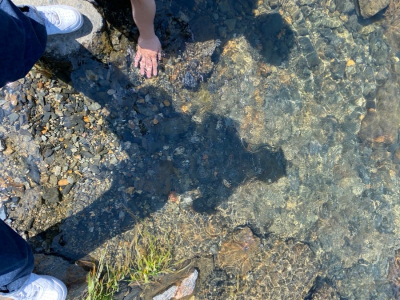 오사카 교토 근교 녹차마을 우지 Uji 당일치기 🍵 녹색 덕후 만족시킨 초록초록한 동네 도리키쿠 나카무라토키치 말차맥주