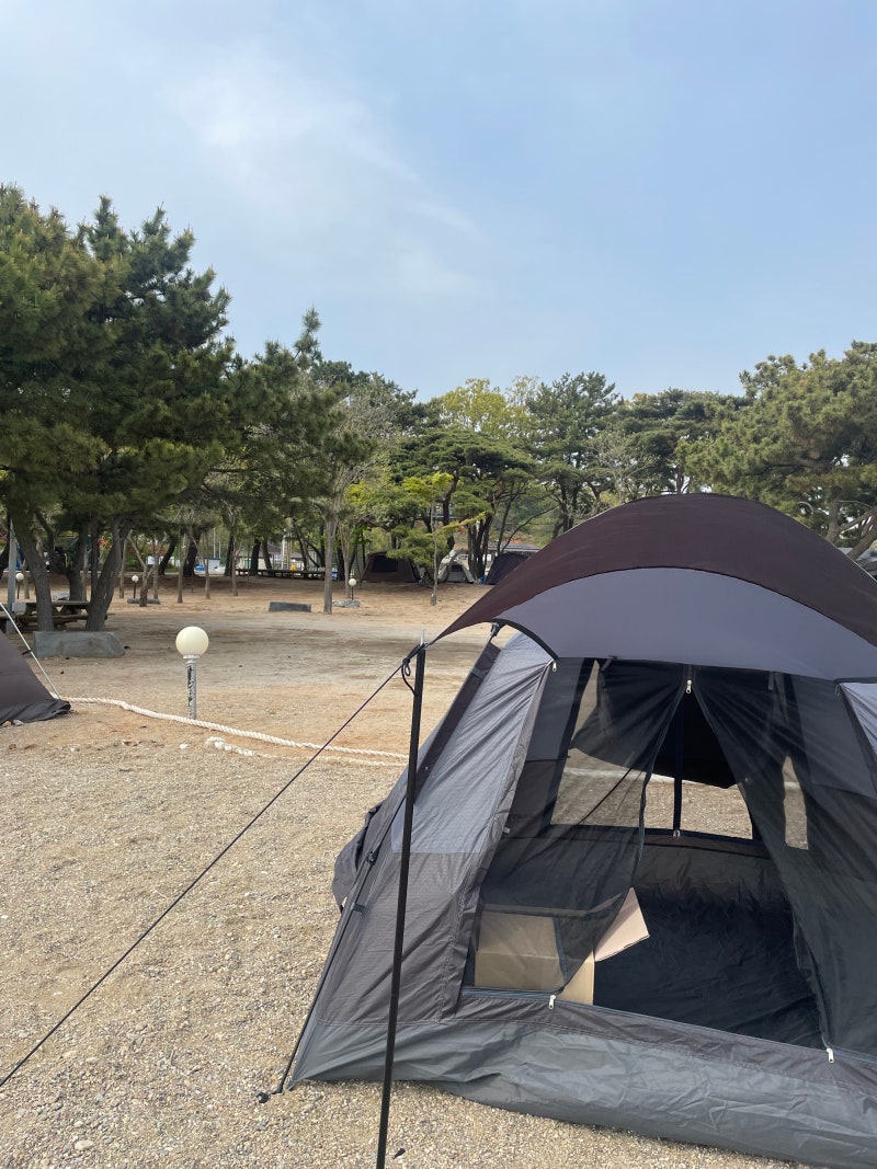 인천 섬여행 장봉도 옹암파라다이스 캠핑장 네이버 블로그