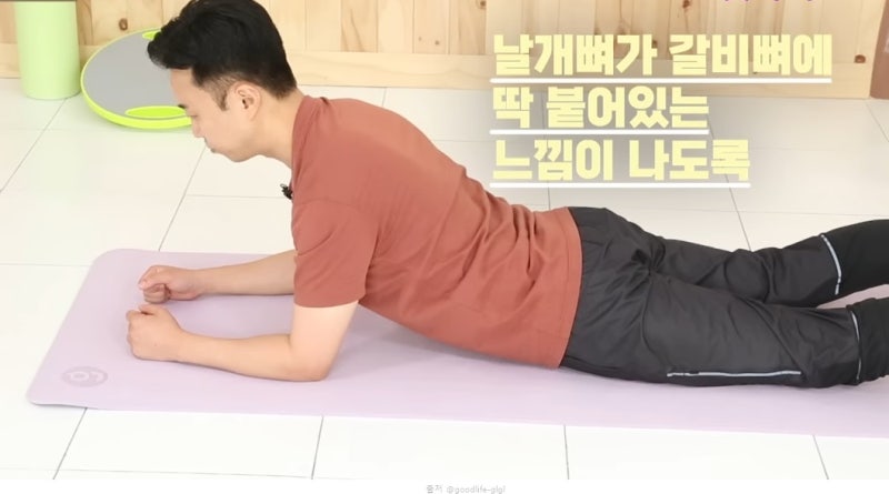 허리에 좋은 코어 강화 운동 플랭크 자세 효과 응용 종류사이드 브릿지 30일챌린지 네이버 블로그