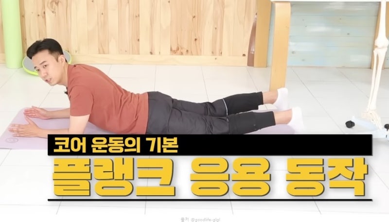 허리에 좋은 코어 강화 운동 플랭크 자세 효과 응용 종류사이드 브릿지 30일챌린지 네이버 블로그