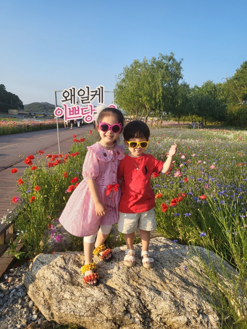 23년 장성 황룡강 홍길동무 꽃길축제 아이와 꽃 야경 즐기고왔어요 ️주차장 입장료무료 놀이기구 티켓 네이버 블로그