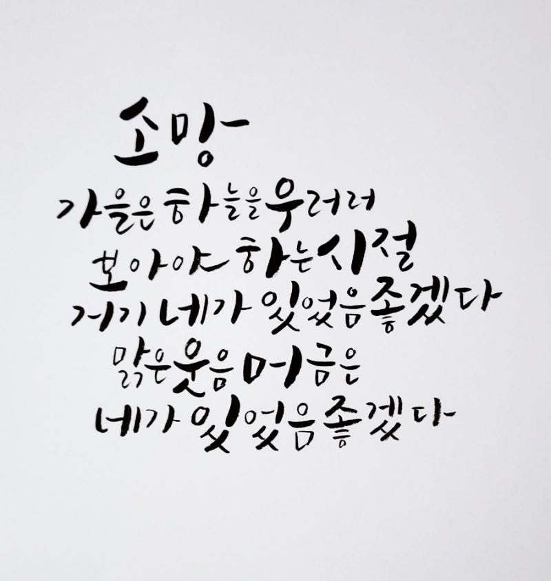 붓펜캘리그라피로 책에서 만나는 좋은 문장 손글씨로 시 쓰기 아트테라피 화성동탄나무아래마음쉼 네이버 블로그