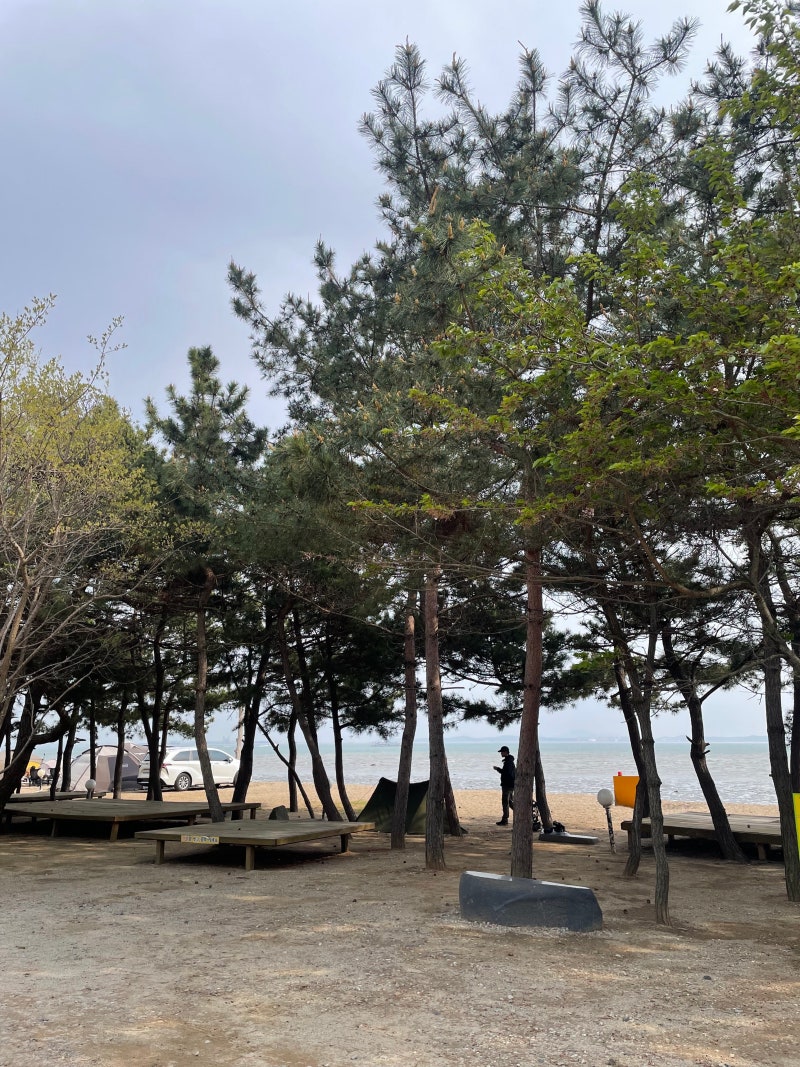 인천 섬여행 장봉도 옹암파라다이스 캠핑장 네이버 블로그