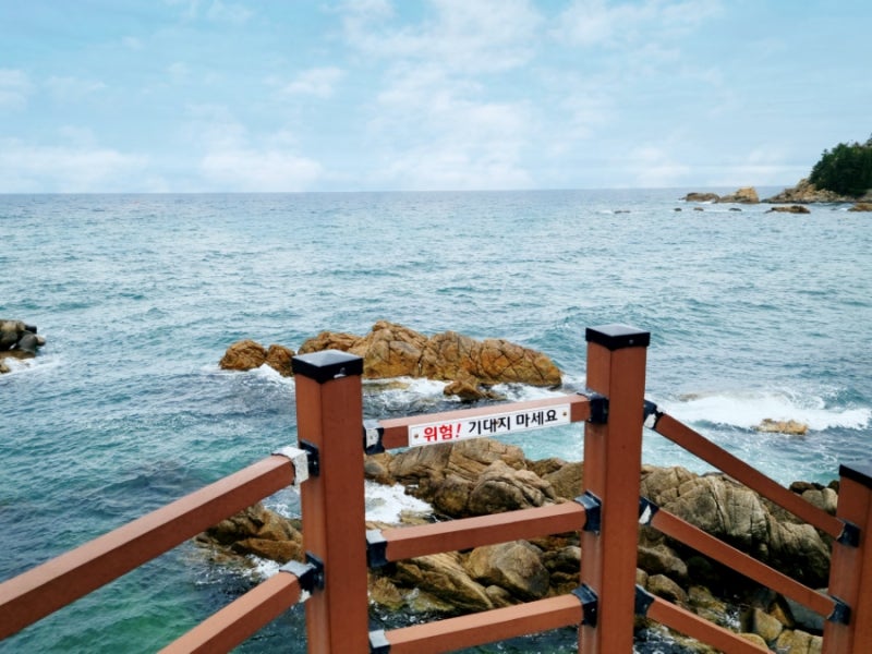 하조대 둘레길과 전망대 아이와 산책하기 좋은 곳 네이버 블로그