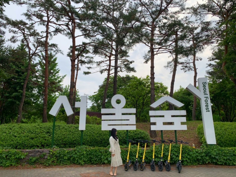 서울 나들이 가볼만한곳 성수동 서울숲 놀거리 산책 추천 네이버 블로그