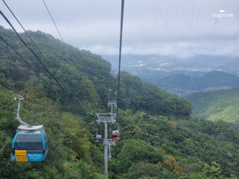 강원평창 발왕산케이블카 네이버 블로그