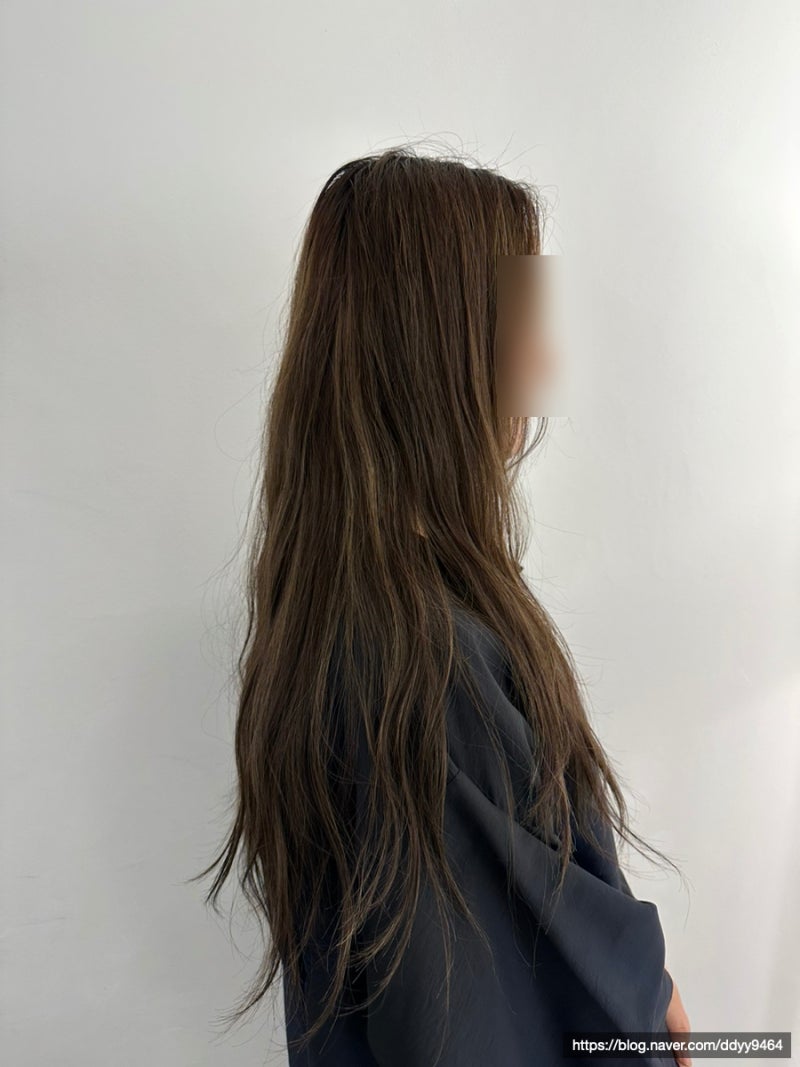 청담동 미용실 커티즘바이 경서실장님 성형커트 톤다운 염색 네이버 블로그