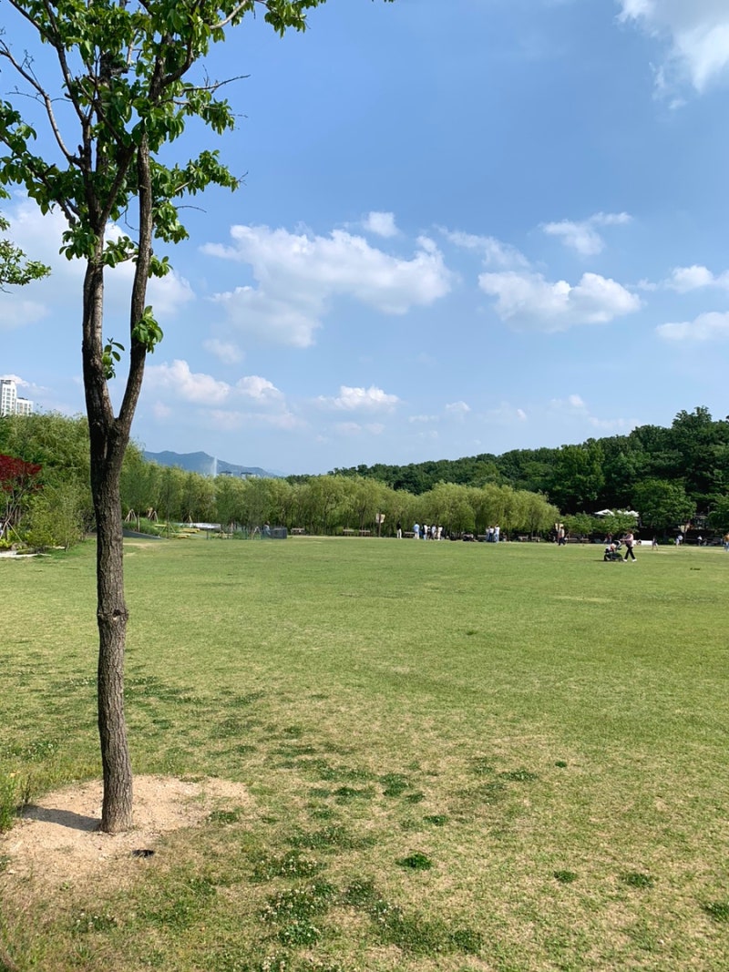 북서울꿈의숲 어린이들의 물놀이 개장 네이버 블로그