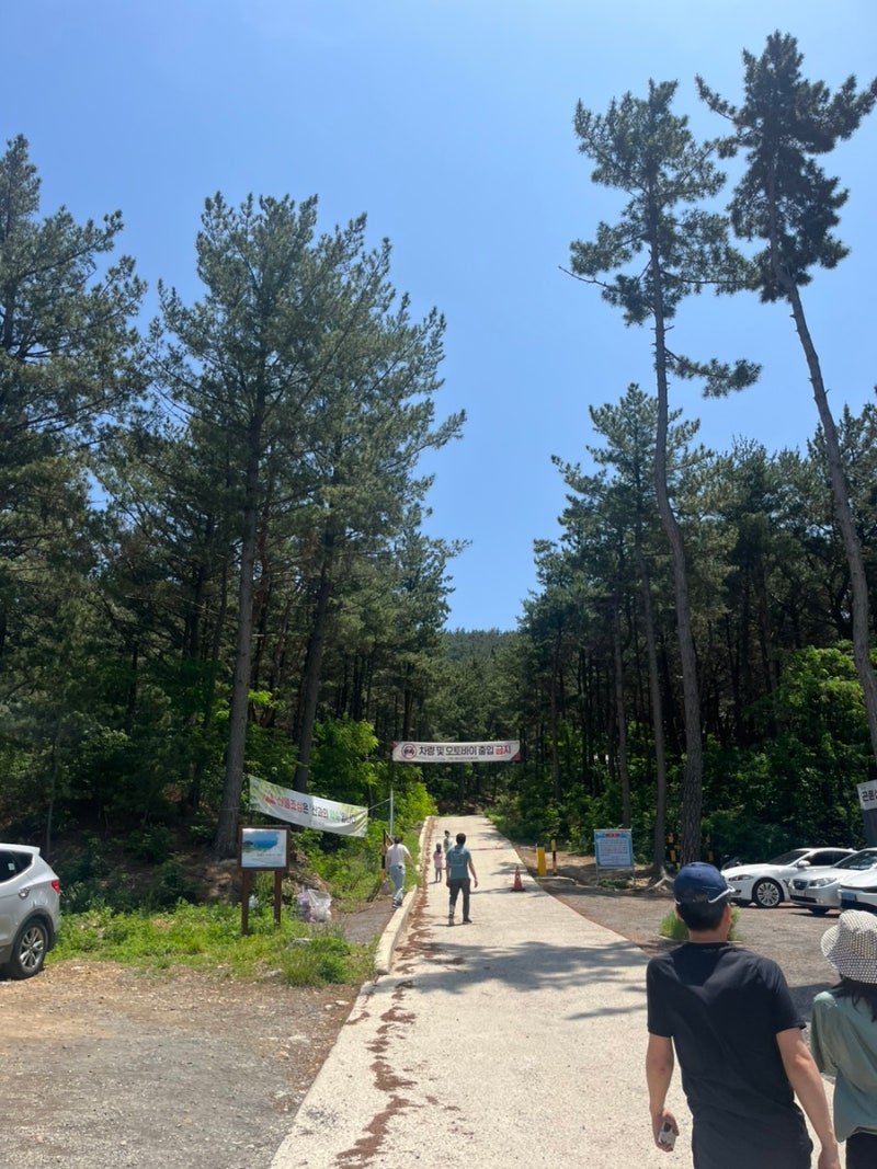 포항여행 곤륜산패러글라이딩 활공장 갯마을차차차 촬영지 곤륜산 네이버 블로그