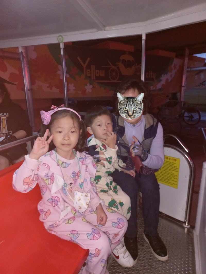 23년 장성 황룡강 홍길동무 꽃길축제 아이와 꽃 야경 즐기고왔어요 ️주차장 입장료무료 놀이기구 티켓 네이버 블로그