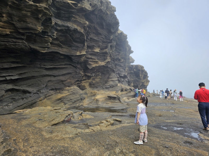 6월 7월 제주도 여행 서귀포 가볼만한곳 제주 용머리해안 명소 아이와 산책 네이버 블로그