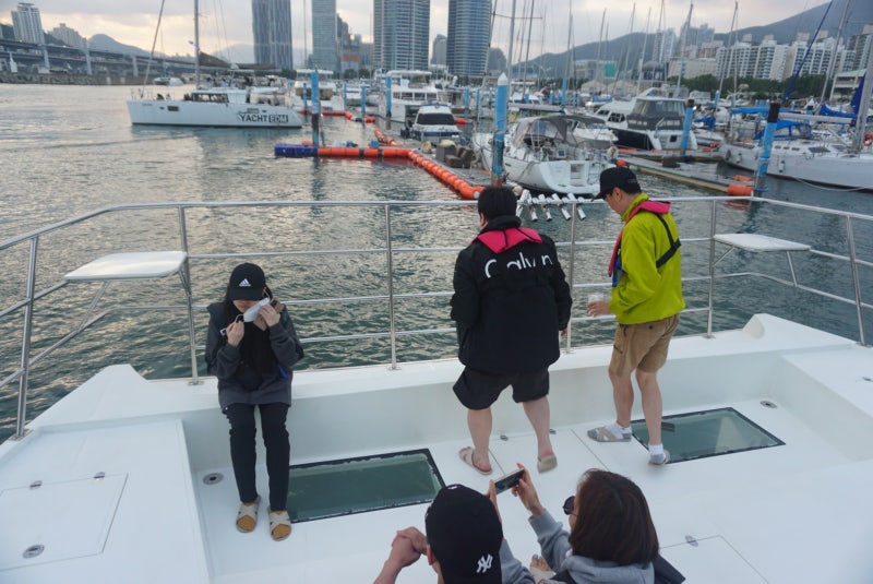 부산요트투어 해운대 요트투어 총정리⛵가격 예약 코스 시간 불꽃놀이 일몰 시간 네이버 블로그