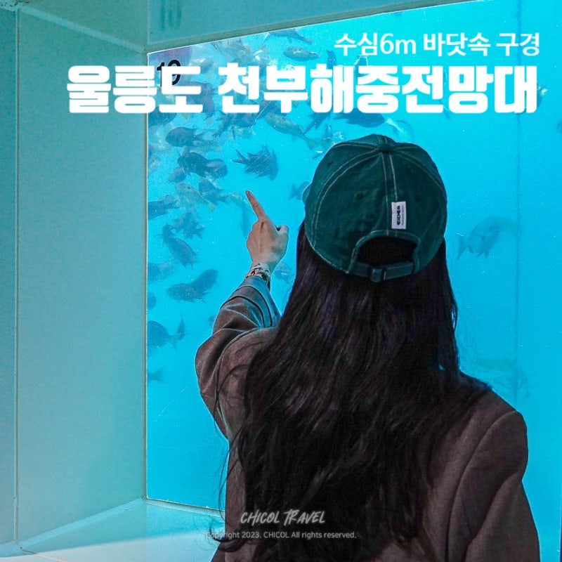 울릉도 가볼만한곳 국내 유일 수심6m 바닷속 천부해중전망대 네이버 블로그