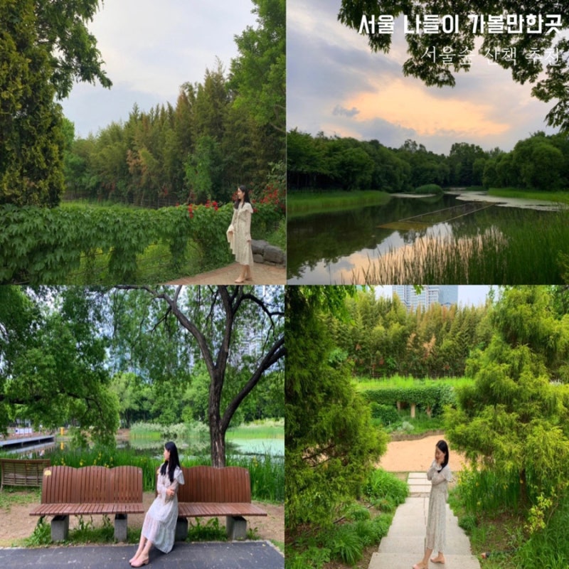 서울 나들이 가볼만한곳 성수동 서울숲 놀거리 산책 추천 네이버 블로그