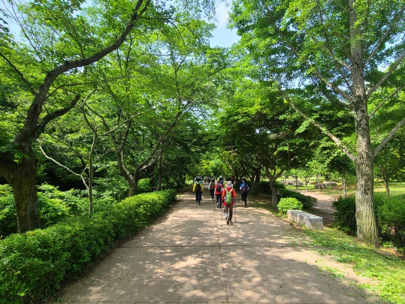 고창 선운산 수리봉 낙조대 천마봉 선운사 등산코스로 산행 네이버 블로그