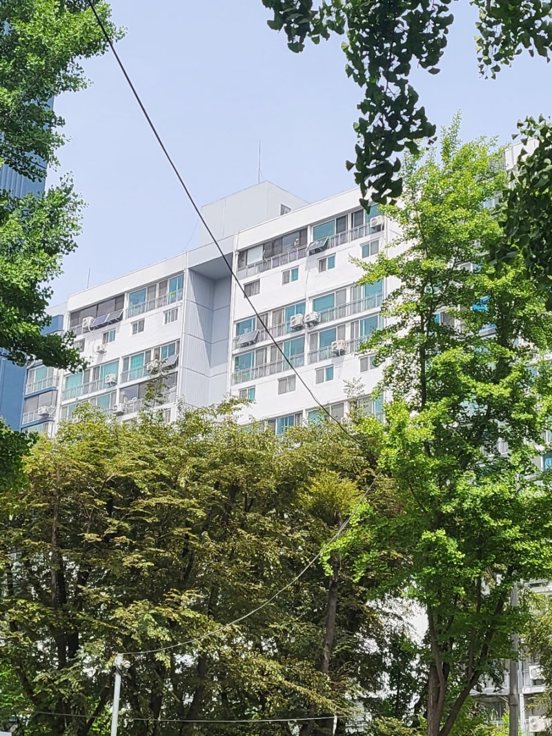 노원구 임장 창동 상계뉴타운1~5구역 중계동학원가 노원센트럴푸르지오 노원롯데시그니처 씨드큐브 서울아레나 네이버 블로그