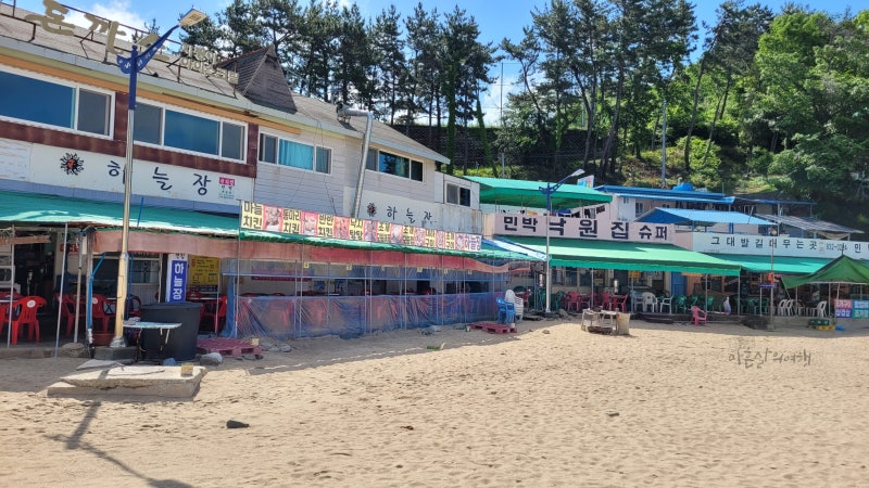 사천가볼만한곳 2023년 남일대해수욕장 소개 총정리 네이버 블로그