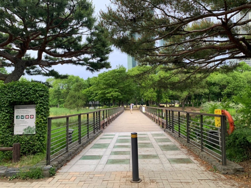 서울 나들이 가볼만한곳 성수동 서울숲 놀거리 산책 추천 네이버 블로그