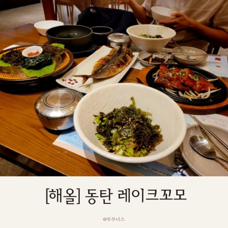 동탄 레이크꼬모 웰빙 건강 밥상 해올 네이버 블로그