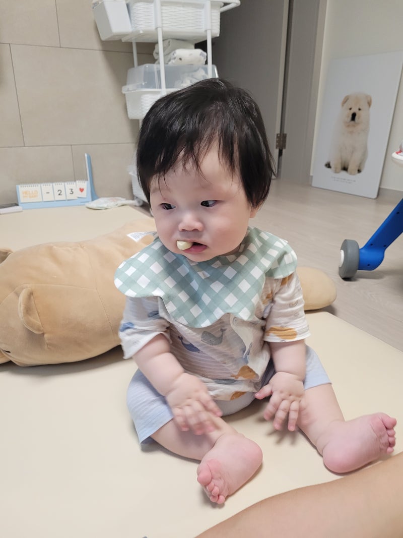 아기 이나는 시기 순서 유아 치아 갯수 유치 앞니 어금니 윗니 나는 시기 네이버 블로그