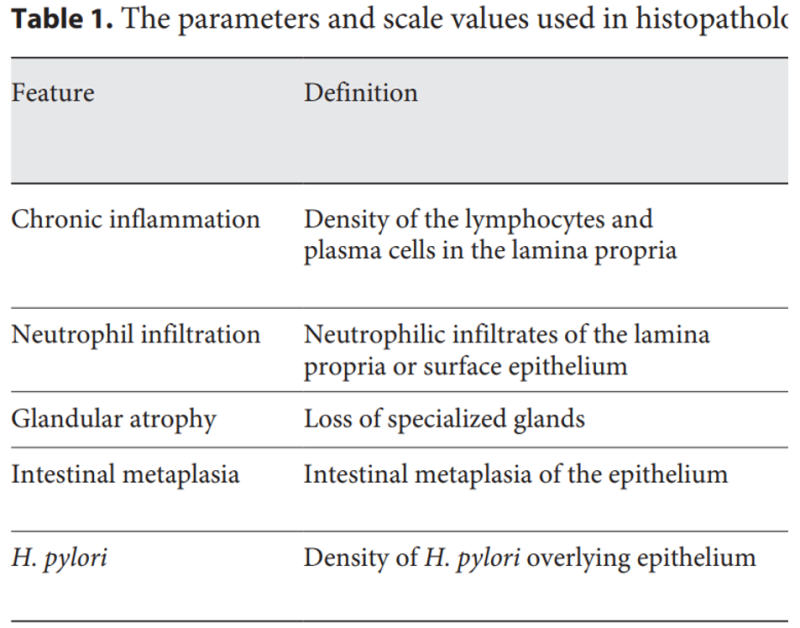 CG (chronic gastritis, 만성 위염) : 네이버 블로그