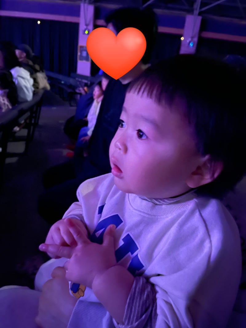 비오는날 22개월 아기랑 에버랜드 스마트줄서기 웨건대여 판다월드 레니의모험 로스트밸리 사파리월드 발렛주차