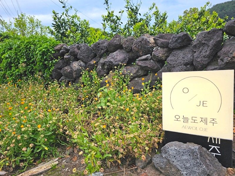 제주 애견동반 숙소 추천 제주도 애월 독채 펜션 감성 애월오제 네이버 블로그