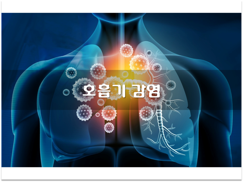 오구멘틴 오구멘틴듀오시럽 소아과 항생제 아목시실린 시럽 기관지염 부비동염 중이염 치료제 용량 부작용 성분 효능 효과 복용법