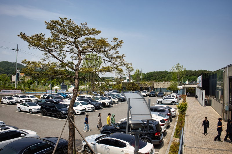 검단신도시 아주 특별한 카페 소개 커플 데이트 가족나들이 네이버 블로그