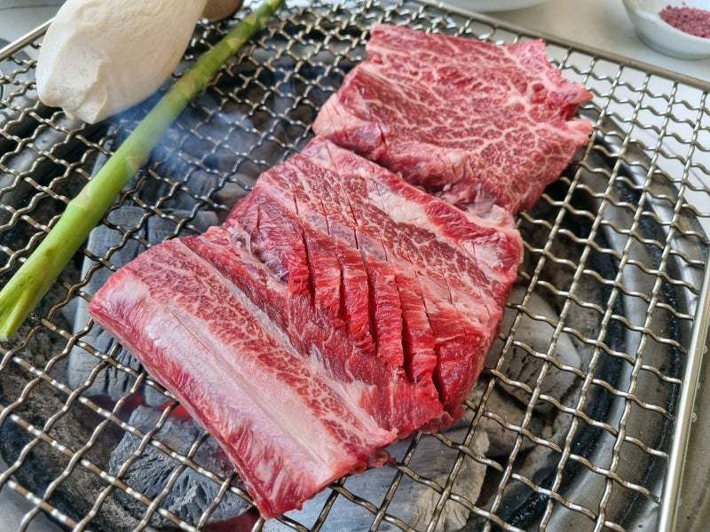 용인 양지 맛집 소들녘 양지점 소고기 한우 생갈비 후기 메뉴 네이버 블로그