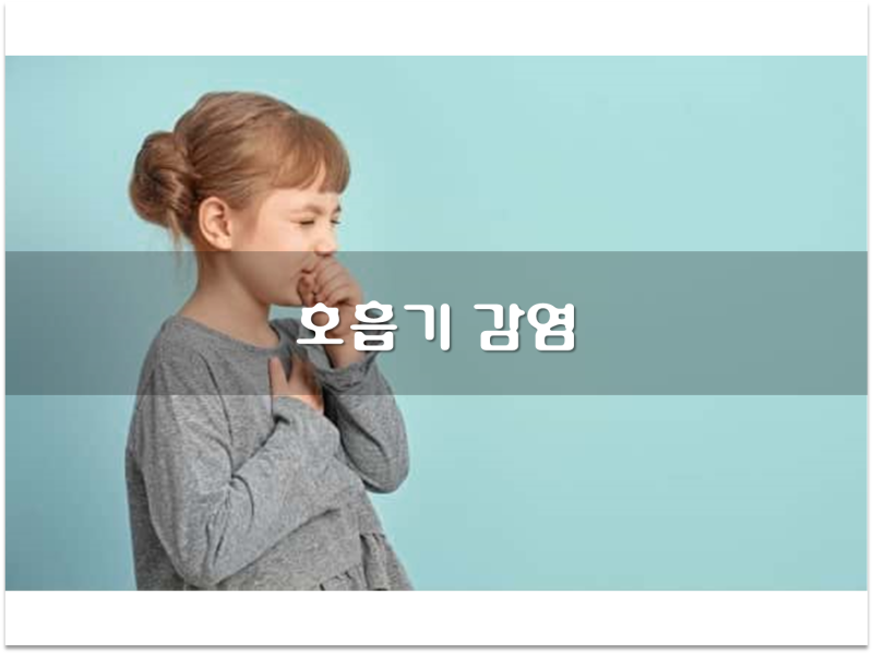 오구멘틴 오구멘틴듀오시럽 소아과 항생제 아목시실린 시럽 기관지염 부비동염 중이염 치료제 용량 부작용 성분 효능 효과 복용법